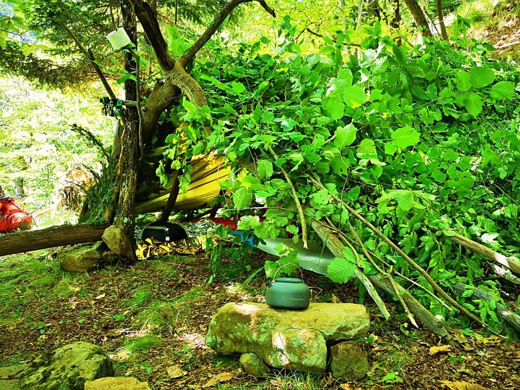 The 5 good reasons to do a bushcraft - CAIRN Expe